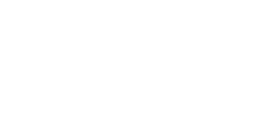 Smart Chip - The world at your fingertip